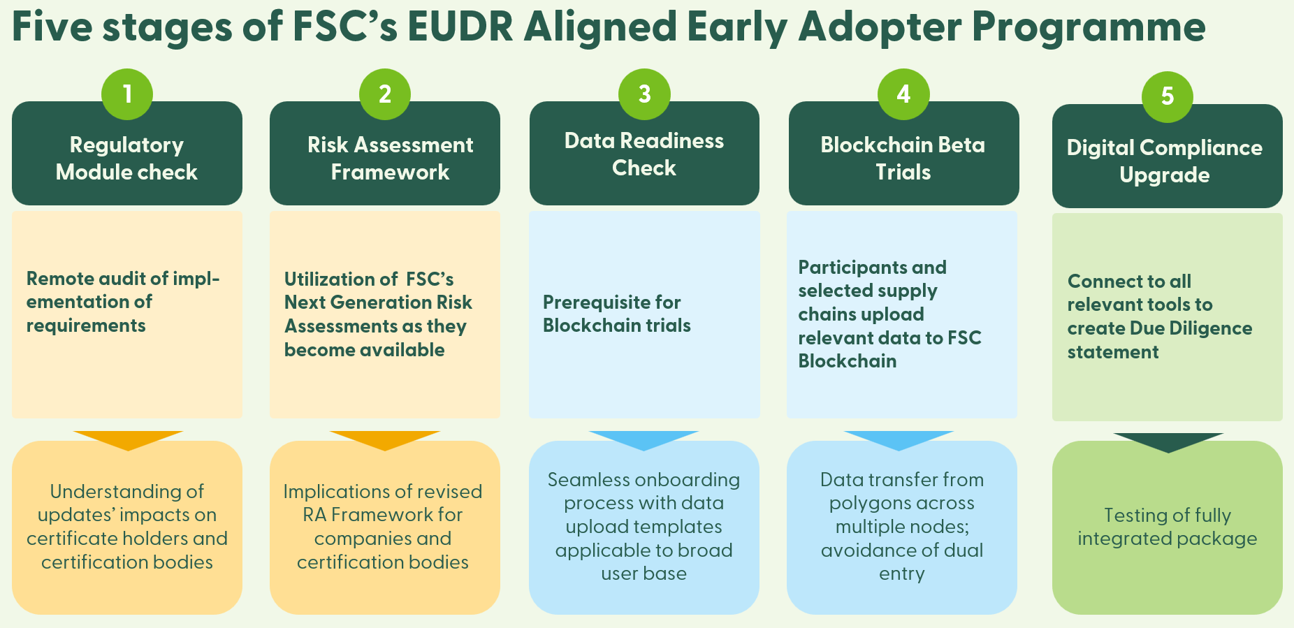 Introducing: FSC EUDR Aligned Early Adopter Programme | Forest Stewardship Council UK